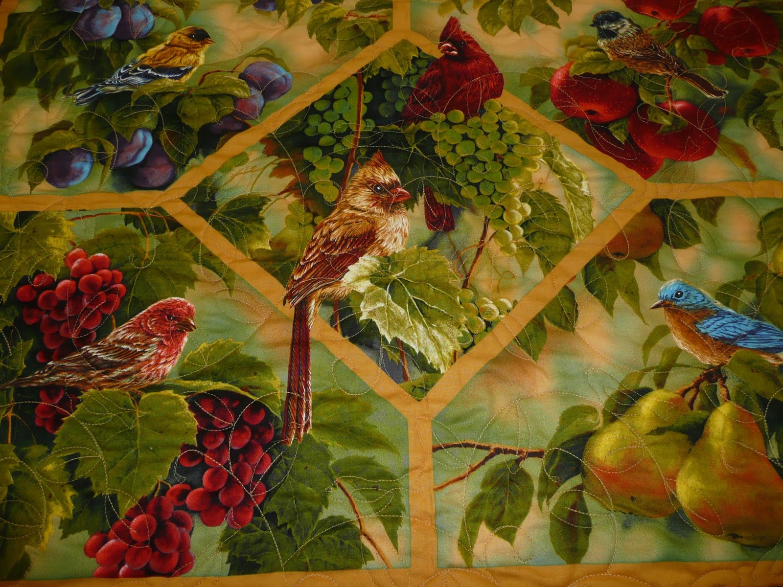 Acorn Ridge Quilting: Darlene's Bird Panel Quilt