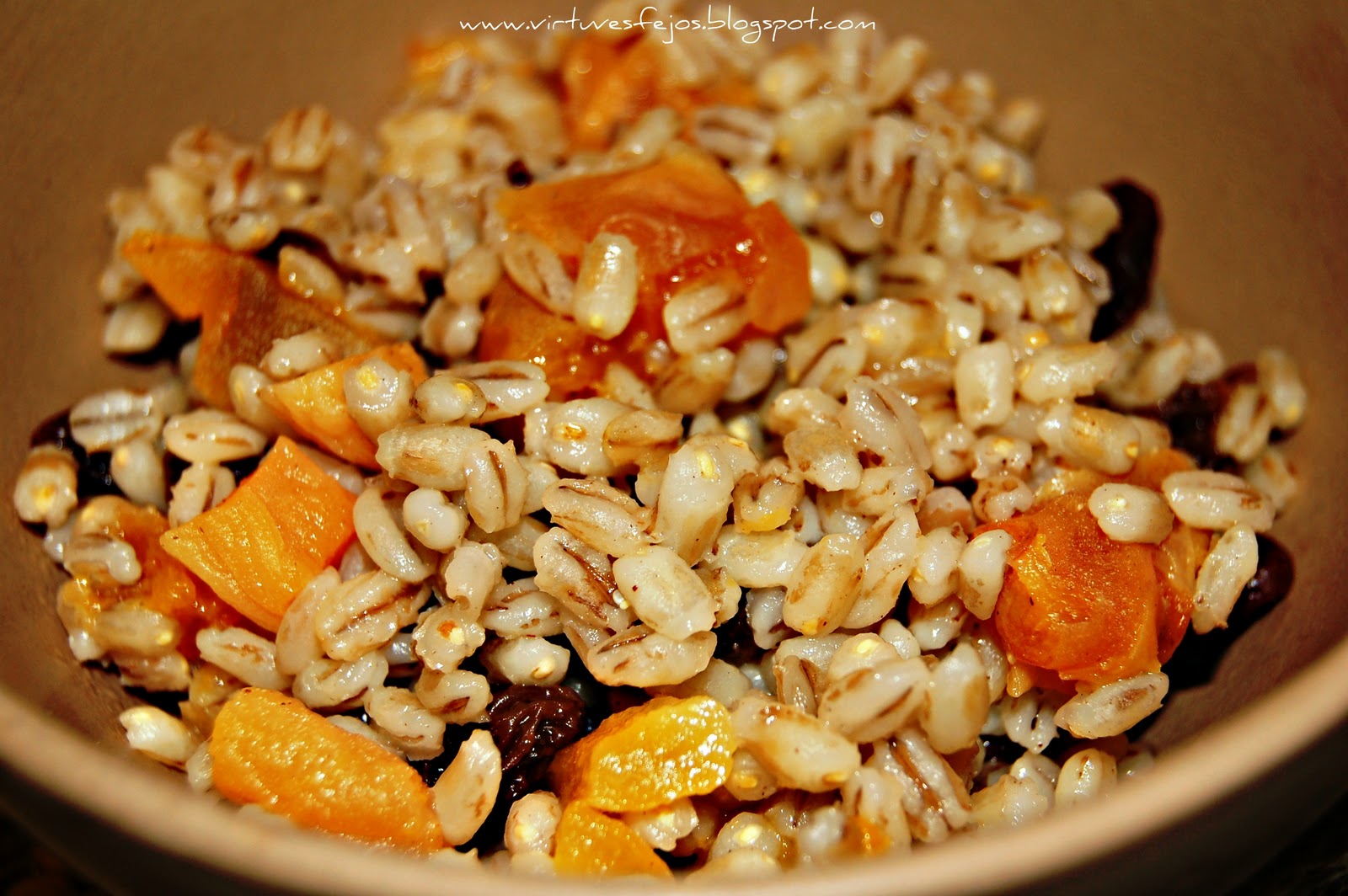 Virtuvės Fėjos: Aukštaitiška Grucė su medumi ir džiovintais vaisiais