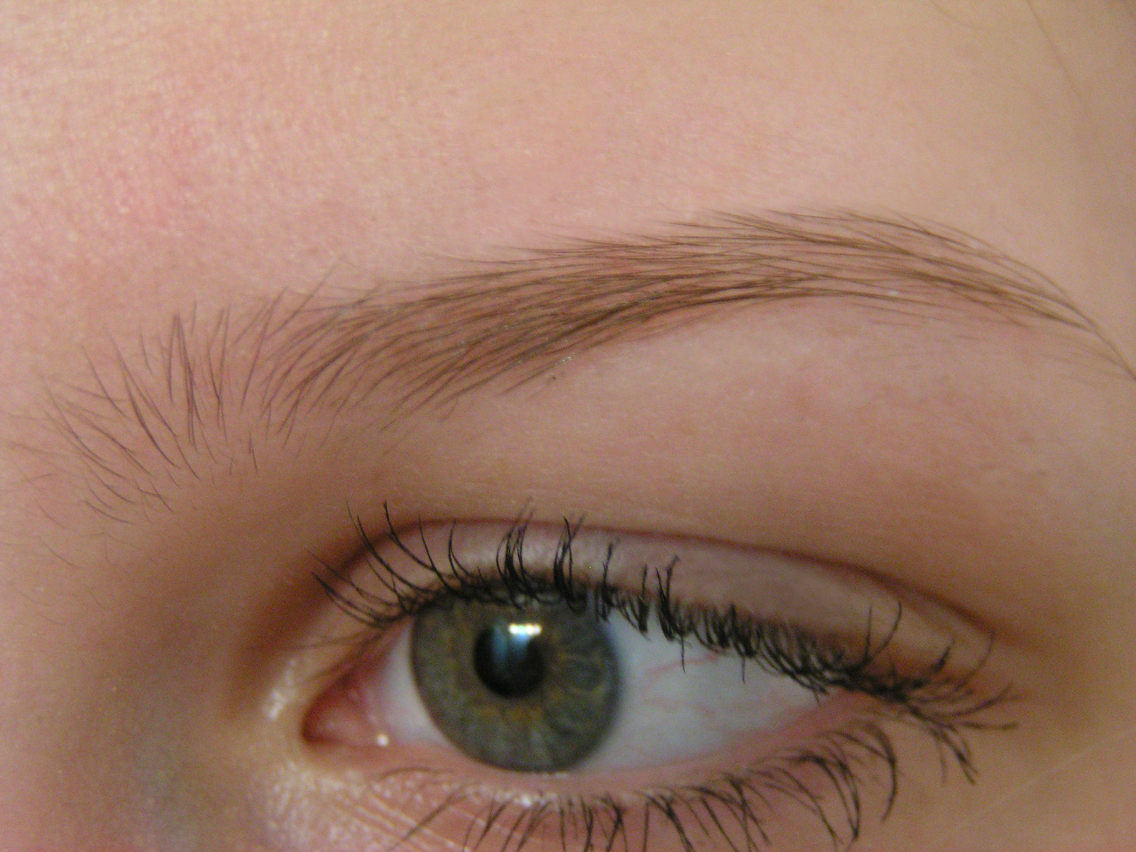 Watching for Pigs on the Wing: It Cosmetics Brow Power Review + Demo