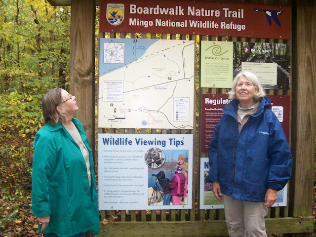 Intuitive Value: Wilderness - Mingo National Wildlife Refuge