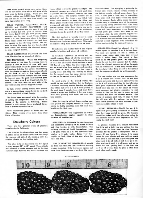 Knott's In Print: How To Grow Boysenberries