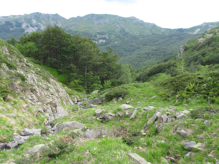 Escursionismo a 360°: Alpe Tre Potenze e Gomito (per il Lago del Greppo) EE