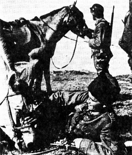 Neues Europa: The Cossack Cavalry Corps of the Waffen-SS