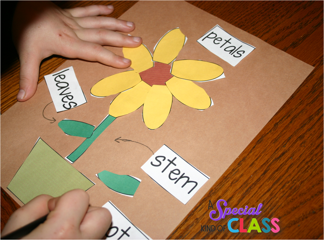 A special kind of class: Plant Labeling