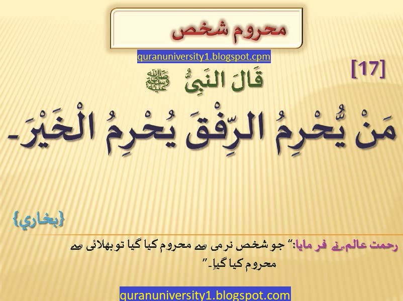 Quran University 1: Hadees