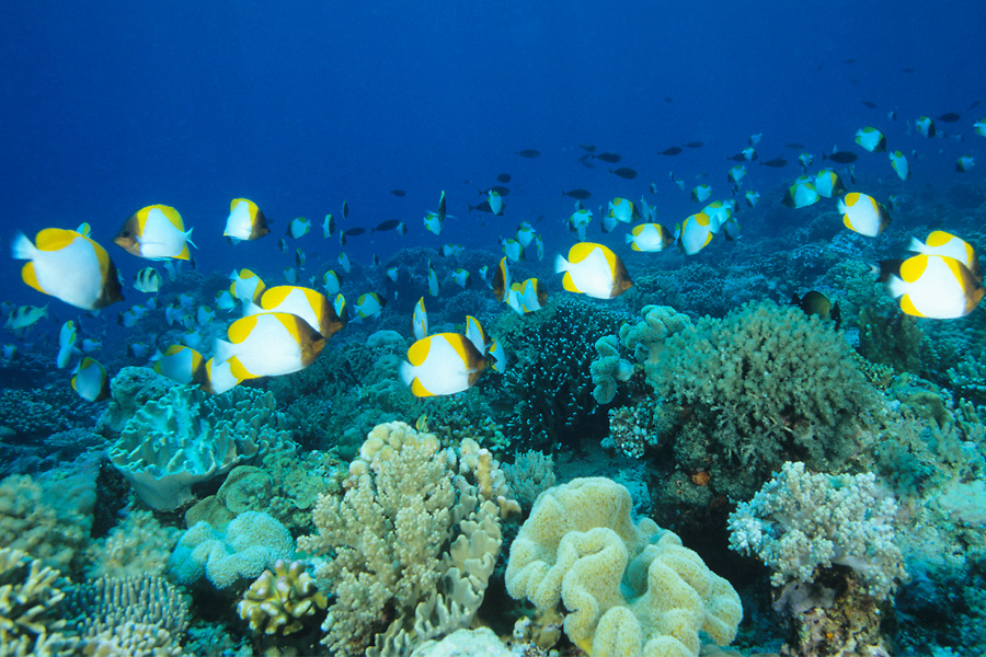 Tours Destination Around The World