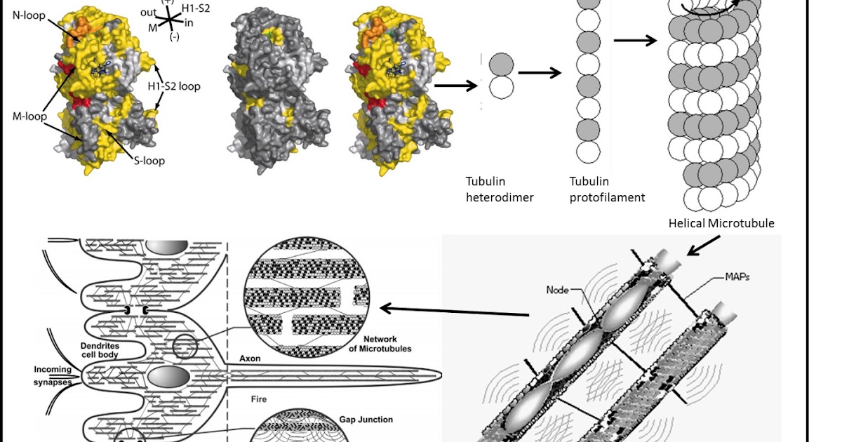 Šta je svest, šta je duša?