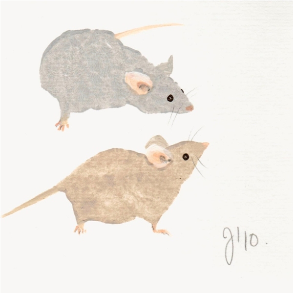 Han Picked: Red Hen Originals