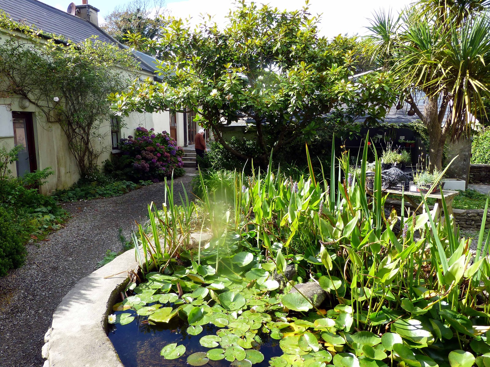 Outdoor Bliss at The Glebe Gardens Cafe