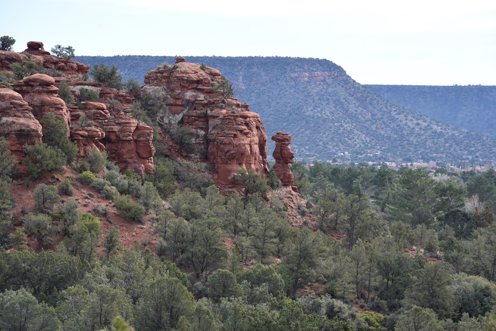 Arizona Hiking: Transept Trail