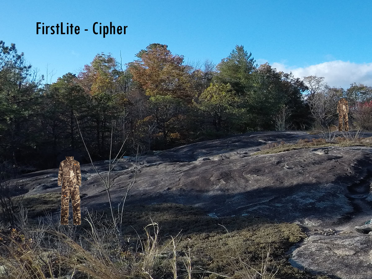 Stony and Forested Mountain Top