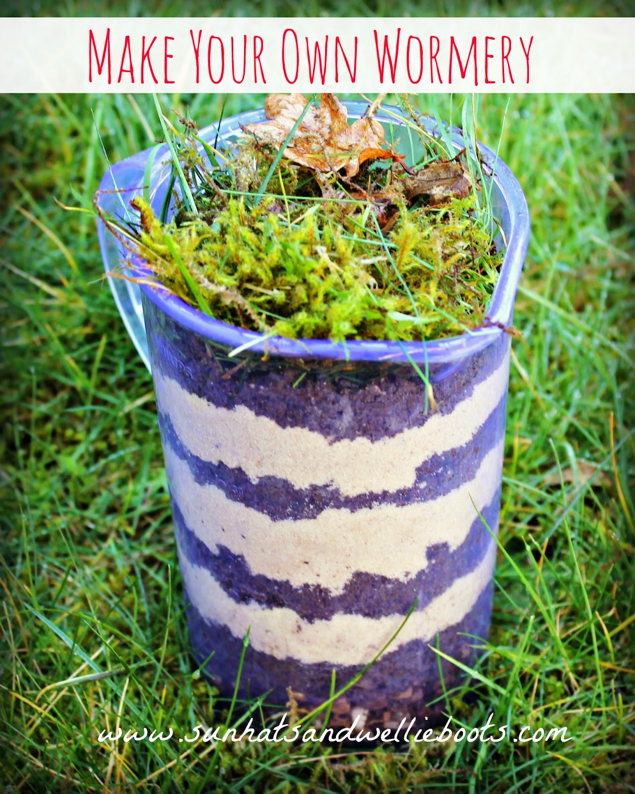 Sun Hats & Wellie Boots: Make Your Own Wormery alongside Superworm ...