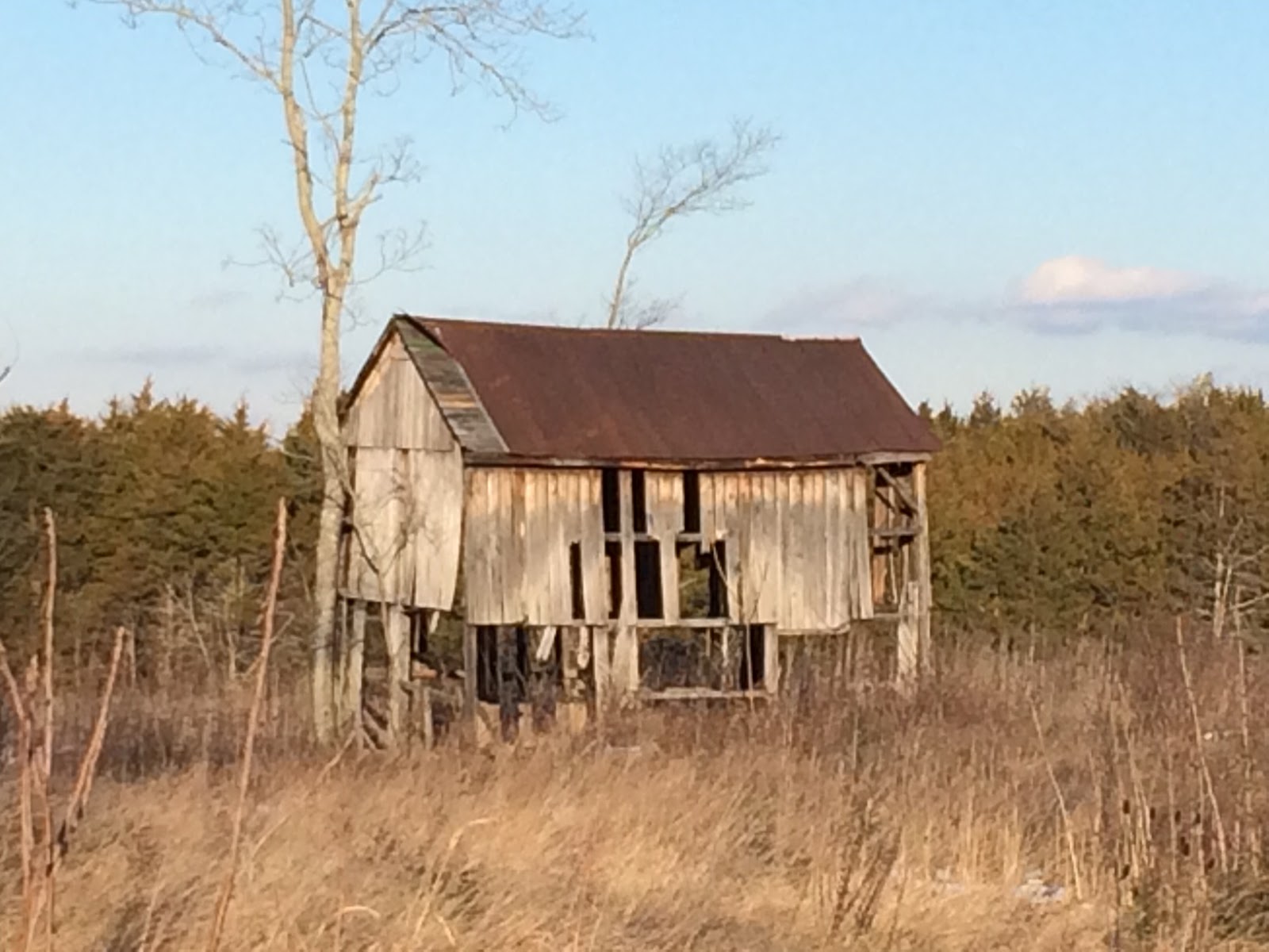 Mister Tristan: Decrepit Barn, Log Cabin...and Ultrarunning