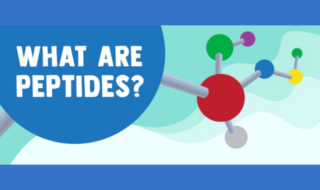 Peptides: What they are and Why they are Useful #Infographic - Visualistan