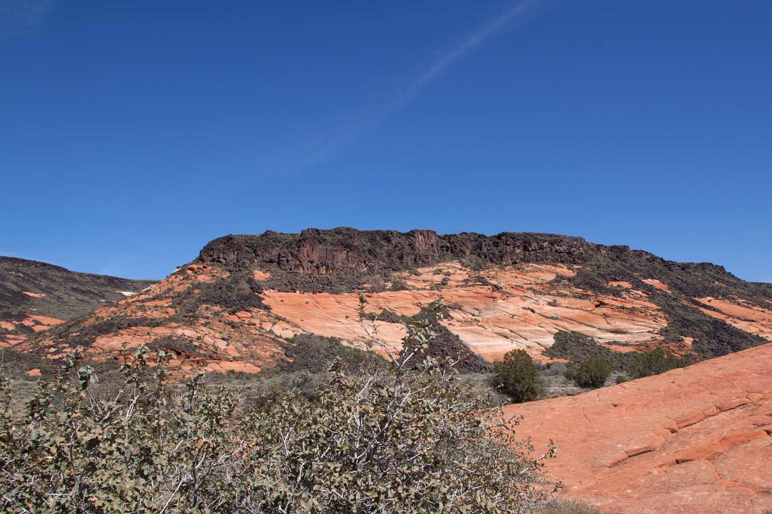 Martha's Musings: Visit to the Colorado Plateau