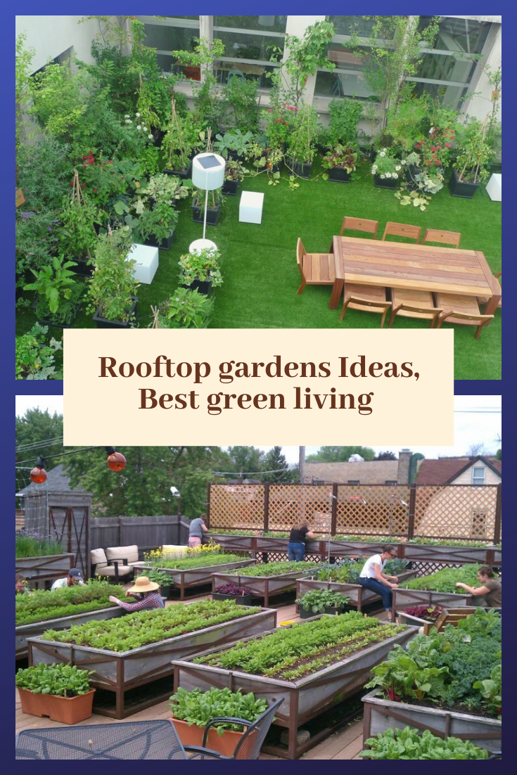 Rooftop Gardens Ideas Best Green Living rooftop-gardens-ideas-best-green-living