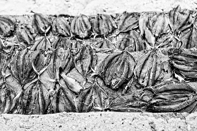 line x shape x colour: south coast, sri lanka: