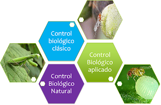 ECOAGRO: Control Biológico