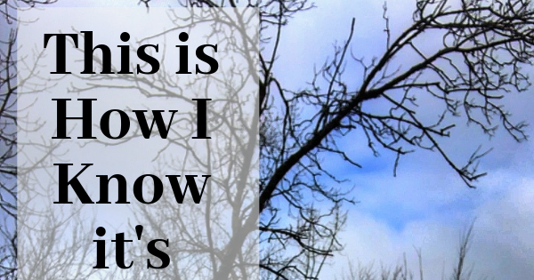 Taking the Long Way Home: This is How I Know It's Real