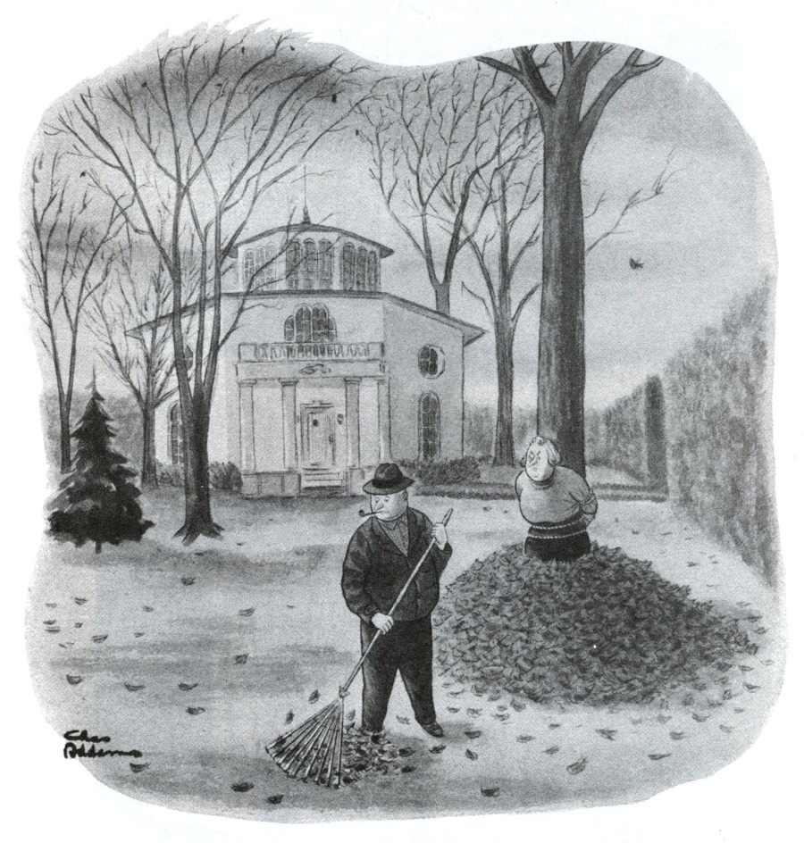 Hairy Green Eyeball 3: 20 vintage cartoons by CHAS ADDAMS