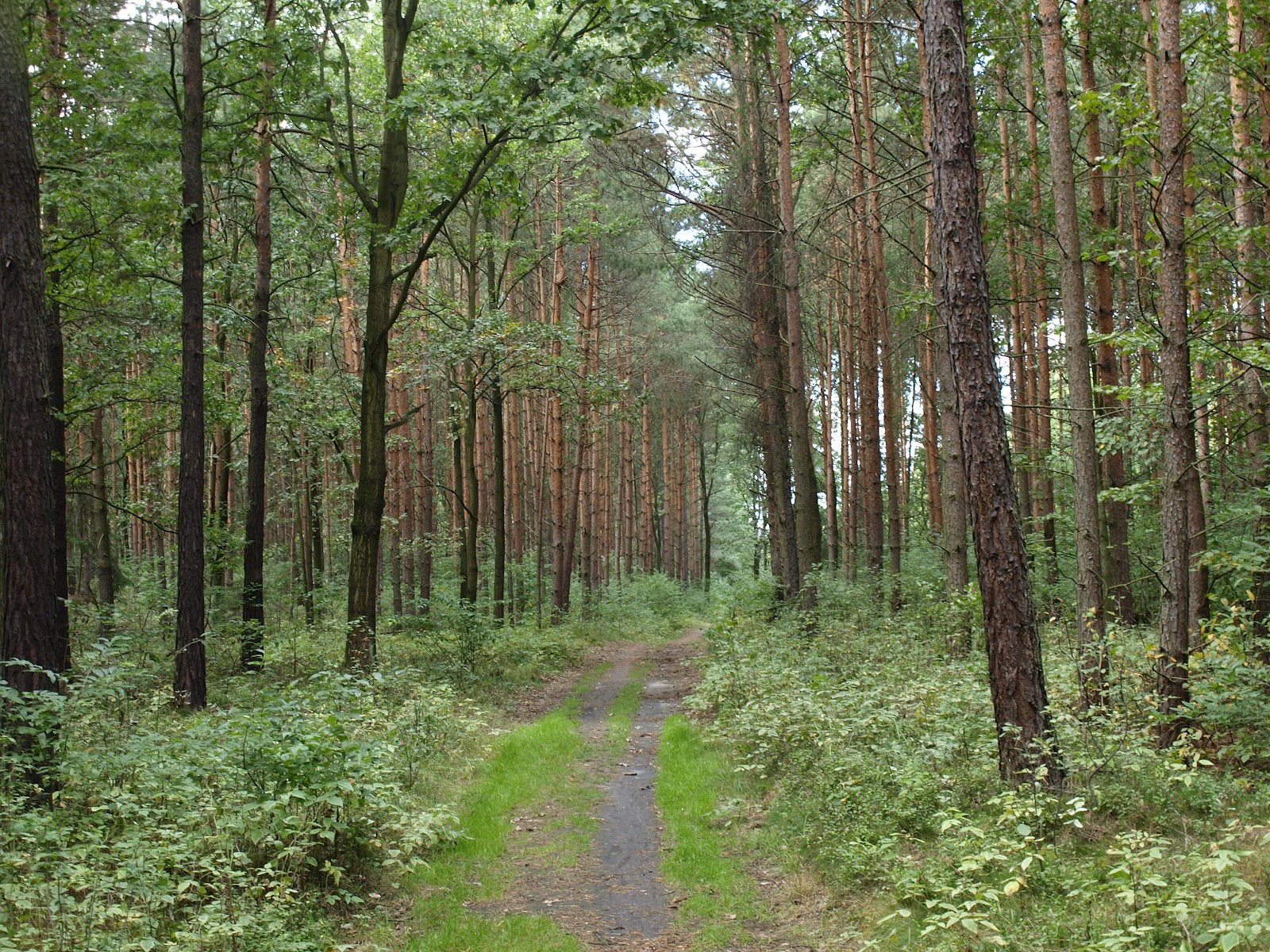 SightWay: The Jamna Valley