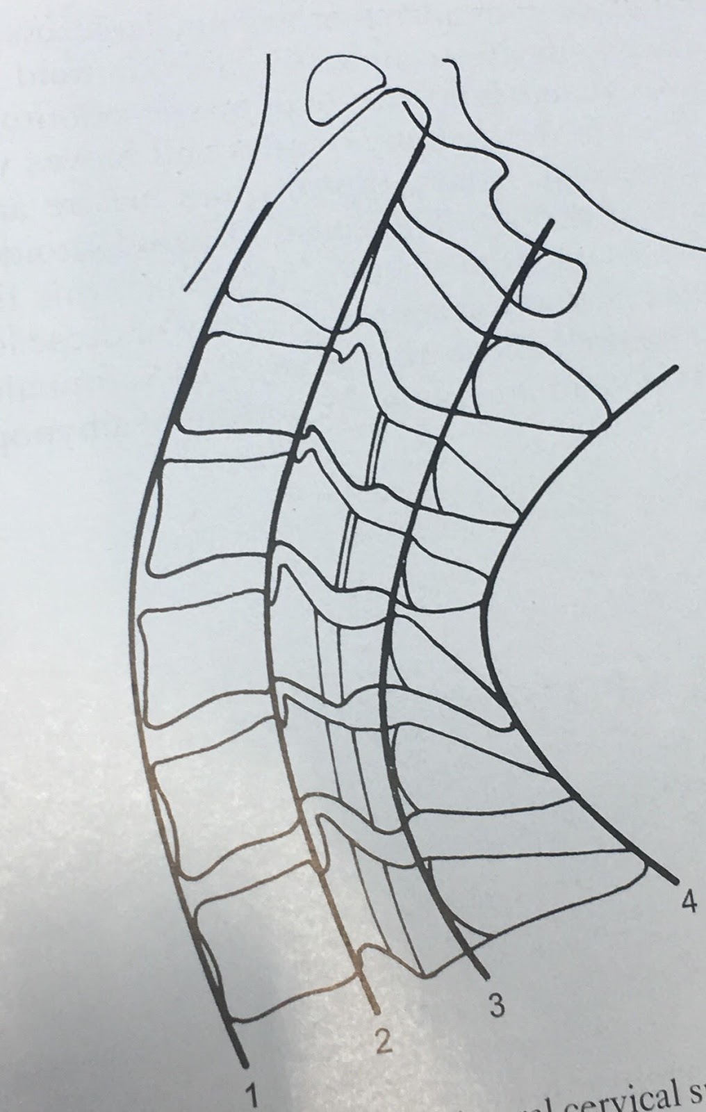 Rob's Radiology: 2019