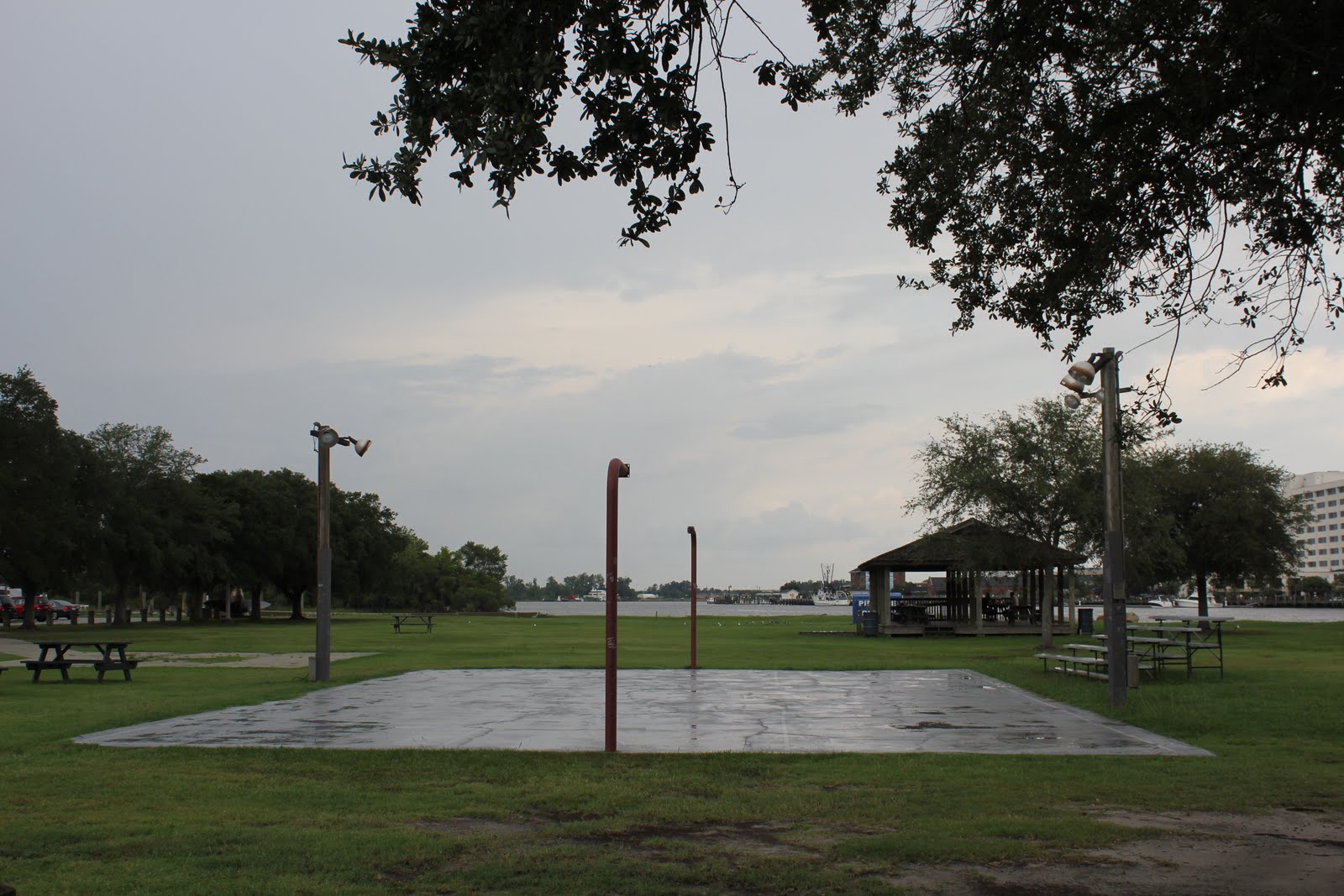 My Crazy Bunch: August 2011