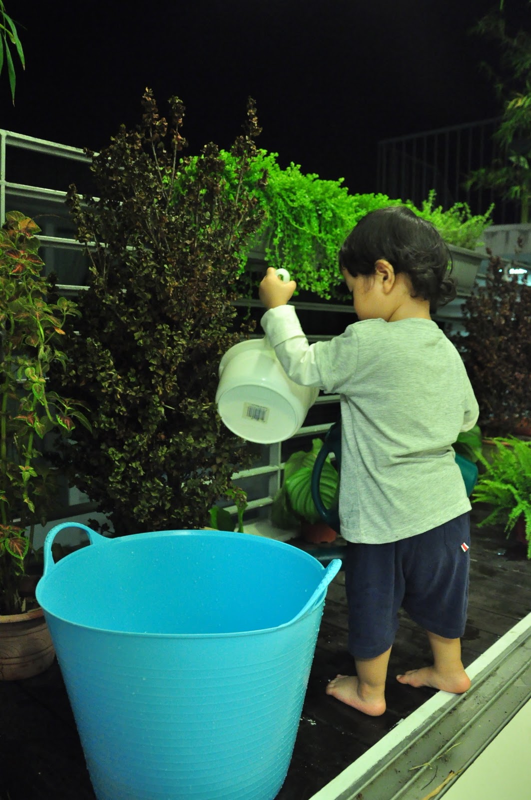 The Bub in the Belly: Watering the plants