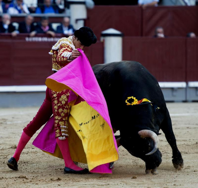 Toreo en Red Hondo: 'TÚ TOREAS BIEN PERO NO SABES TOREAR'