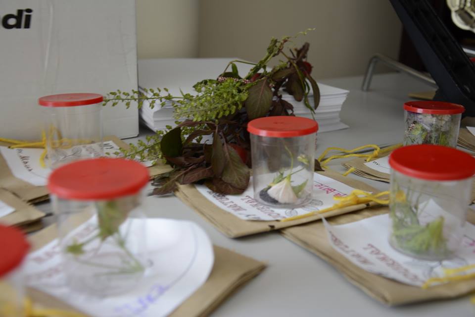 Stories from the creative classroom: Nature Scavenger Hunt