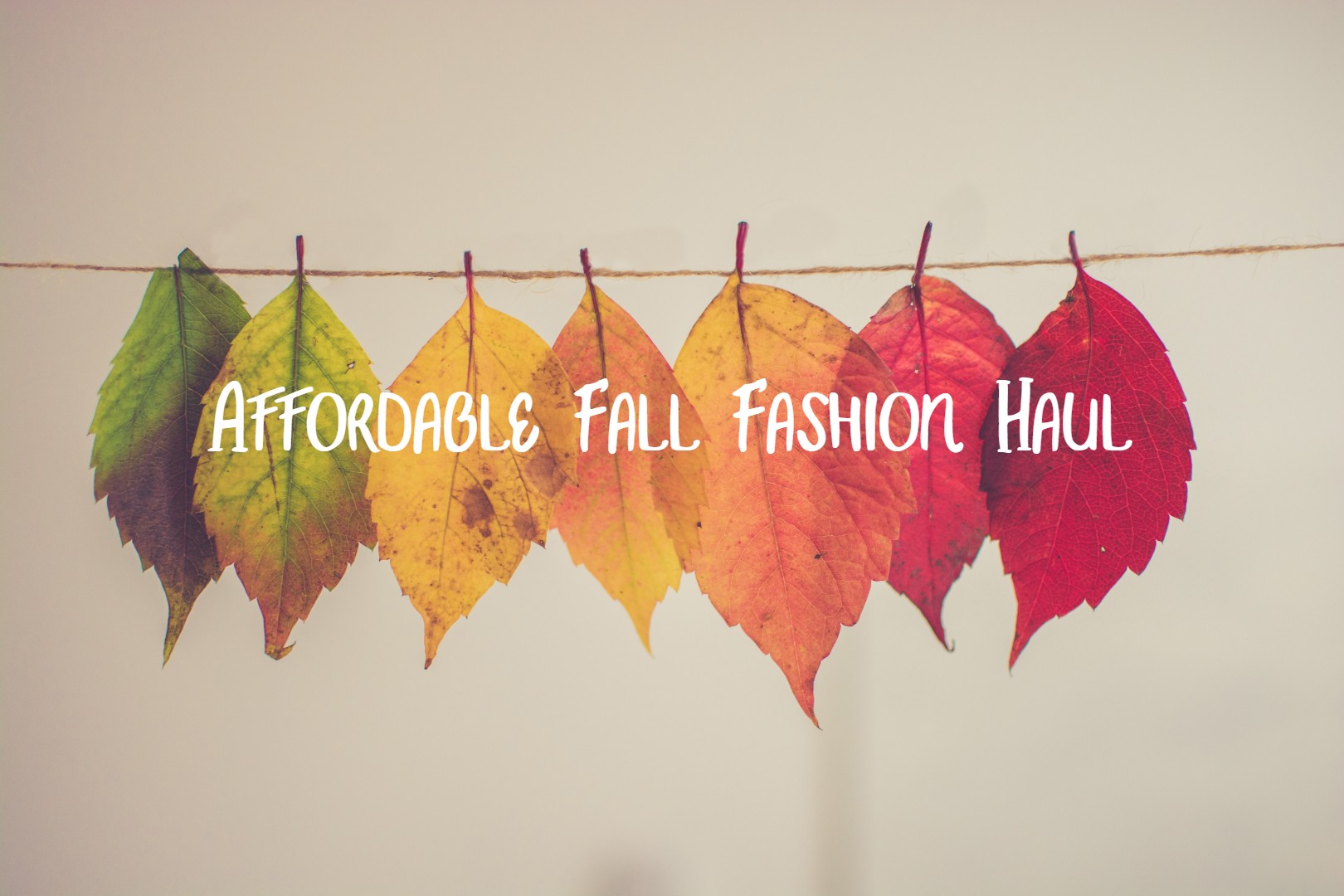 Leopard Lace and Cheesecake: Affordable Fall Fashion Haul + GIVEAWAY!!!