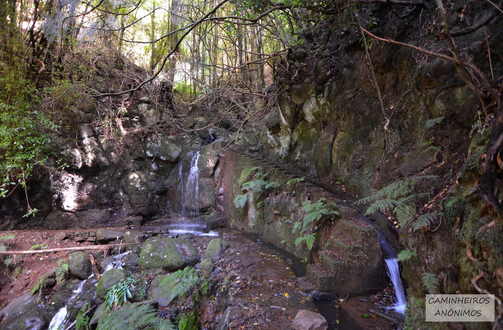 Caminheiros Anónimos Levadas da Madeira : Levada Grande (Achadas da Cruz)