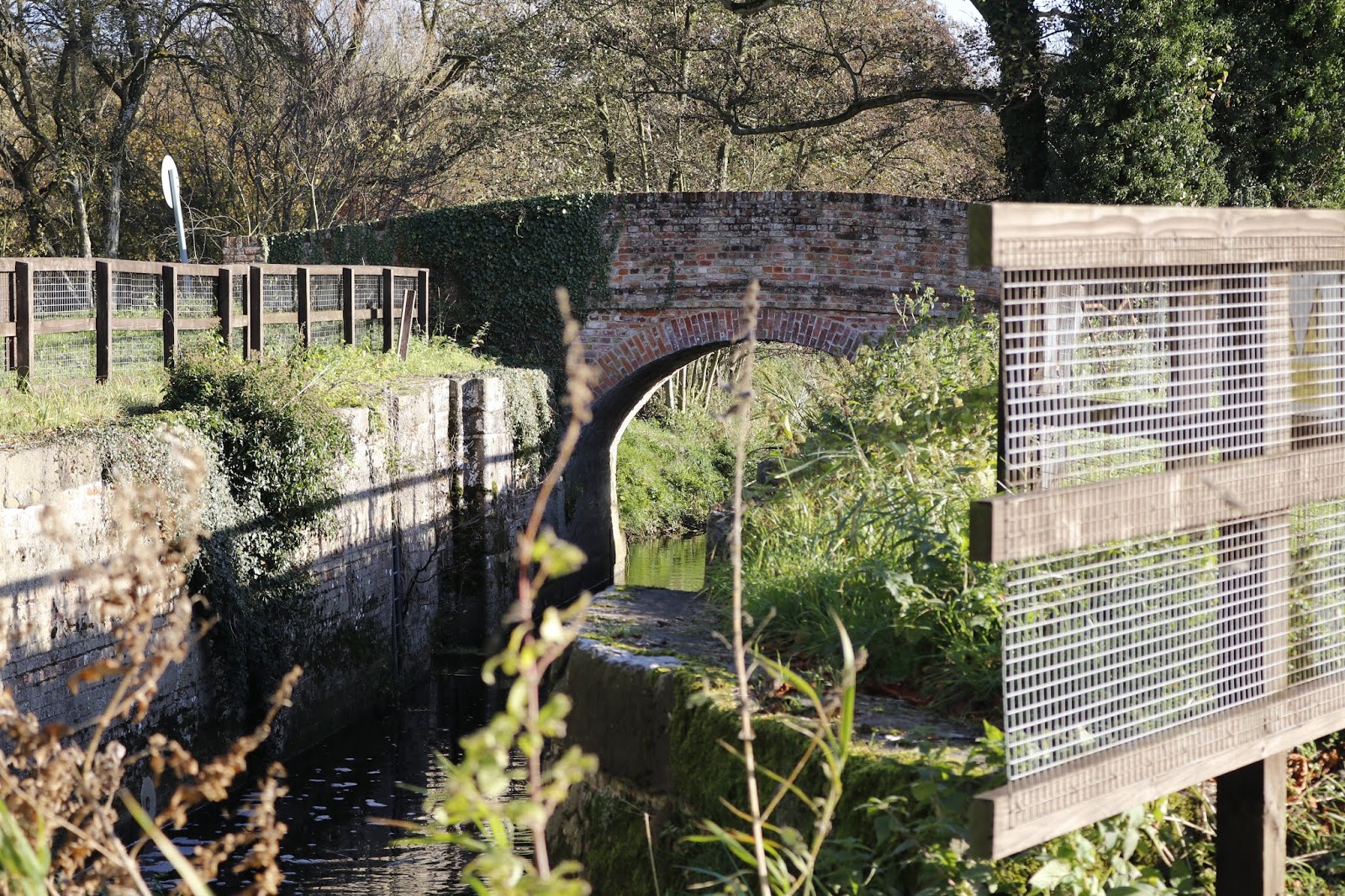 Suffolk Birdwatcher: River Gipping Lakes - 13/11/2018