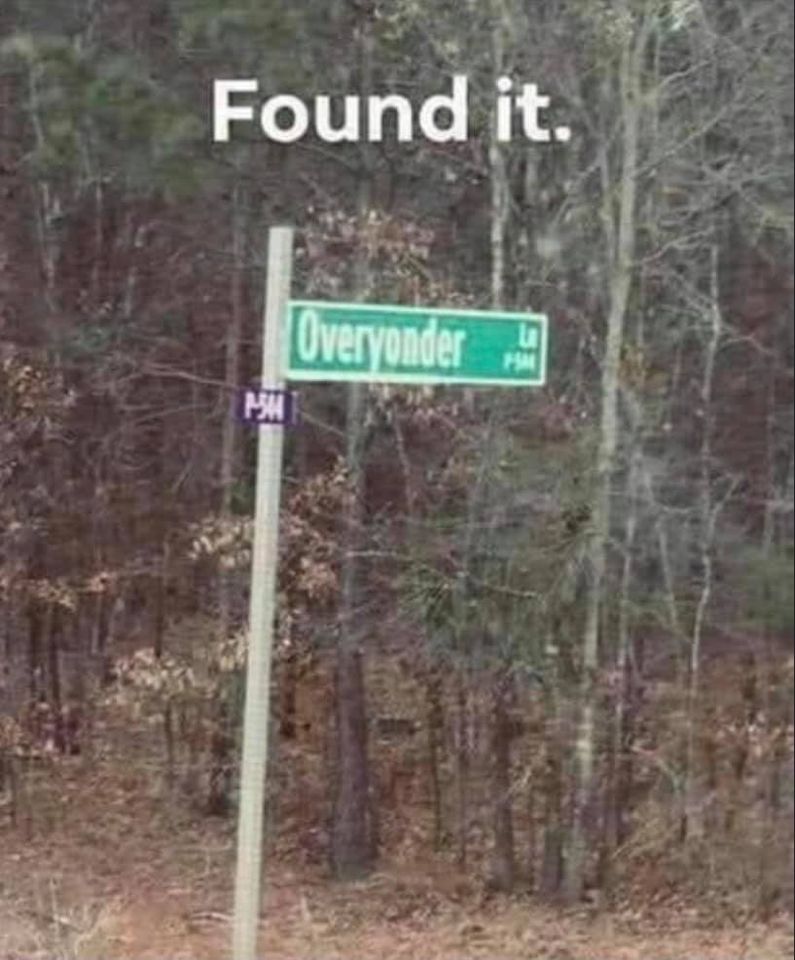 Bonnie's Books: Let the good times roll ~ with puns and TP