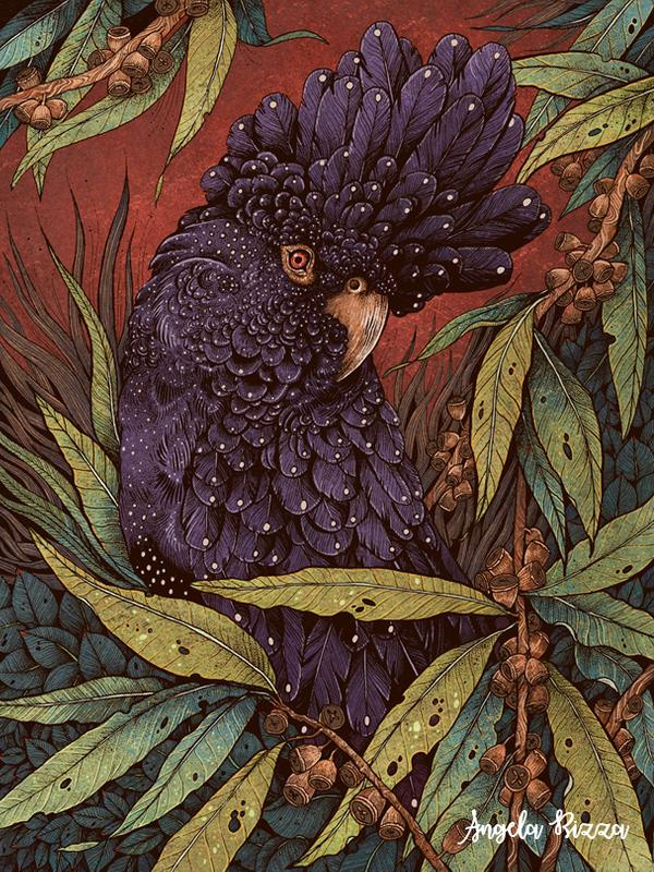 Pinzellades al món: Els ocells il·lustrats per Angela Rizza