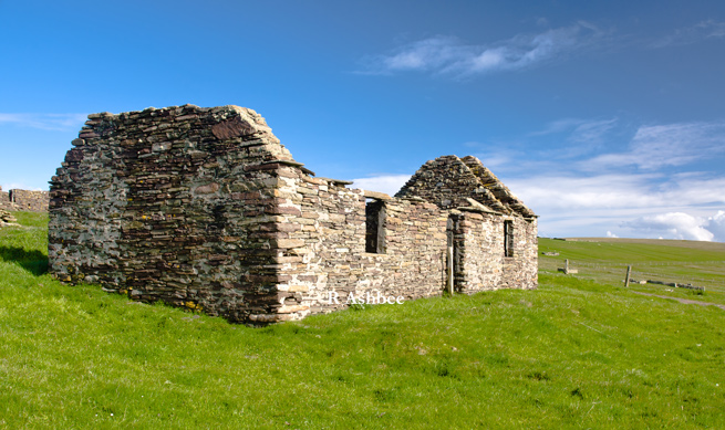 Shetland move and experiences