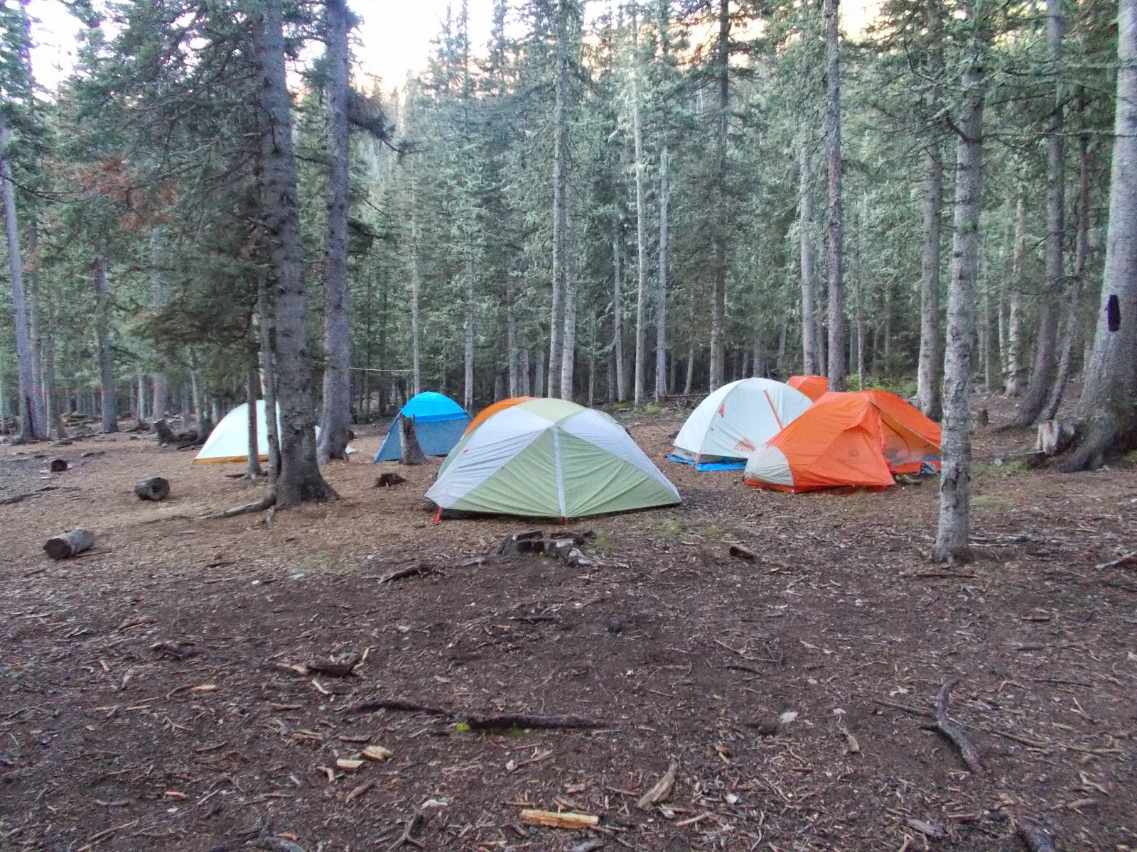 scott's ravings: Philmont Scout Ranch - Day Six - Greenwood Canyon to ...
