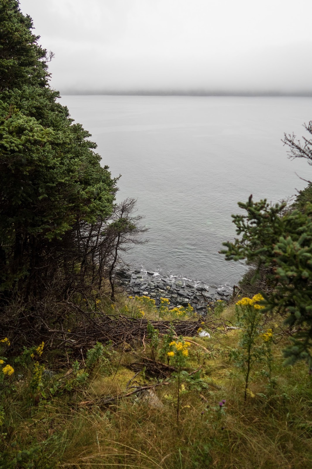 Eric's Hikes: East Coast Trail Day 2: Chance Pond River to South Cape ...