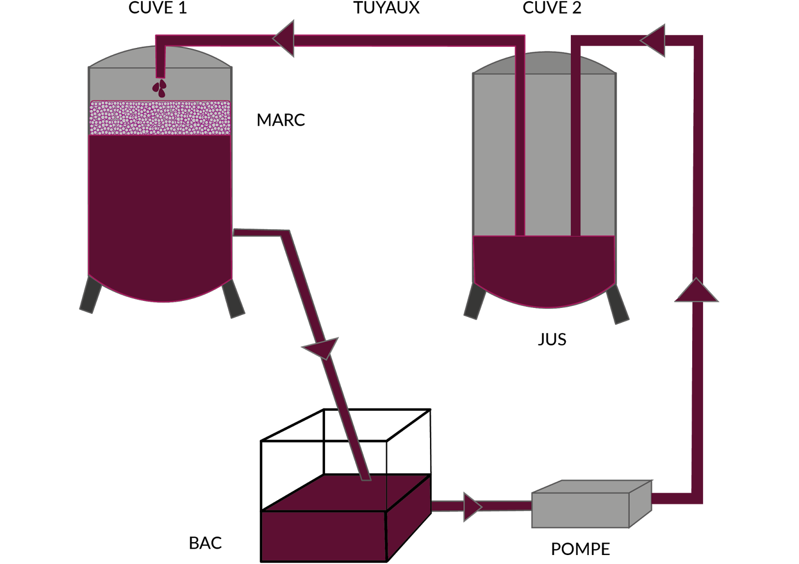 DELESTAGES A CHANTEGRIVE : PETIT COURS DU SOIR, BONSOIR