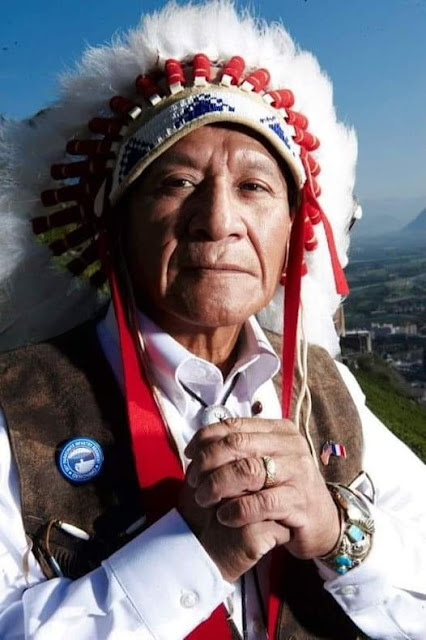 Kıta Amerikası Yerli Halkları Tarihi ve Totem İnançları: Covid-19 ...