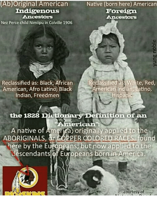 Kimberly Purpoz: American Aboriginal Meme Speaks Volume