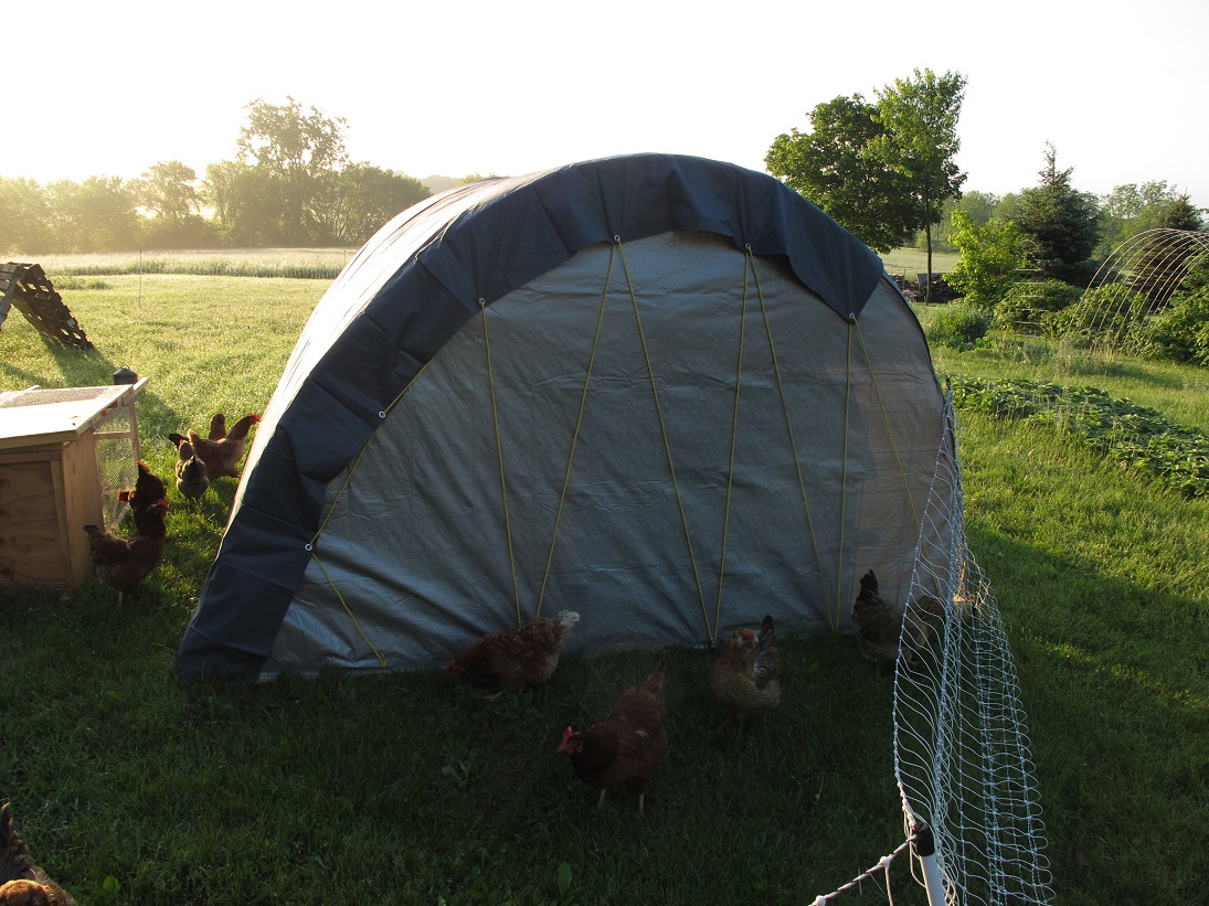 Joe's Garden Journal: Building a Hoop Coop, How to construct an ...