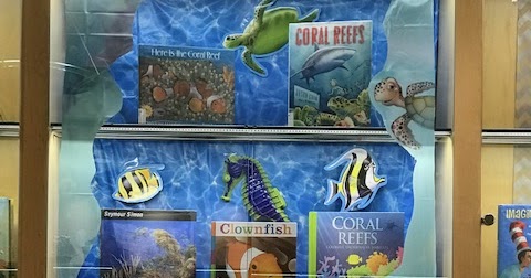 Display: Coral Reefs