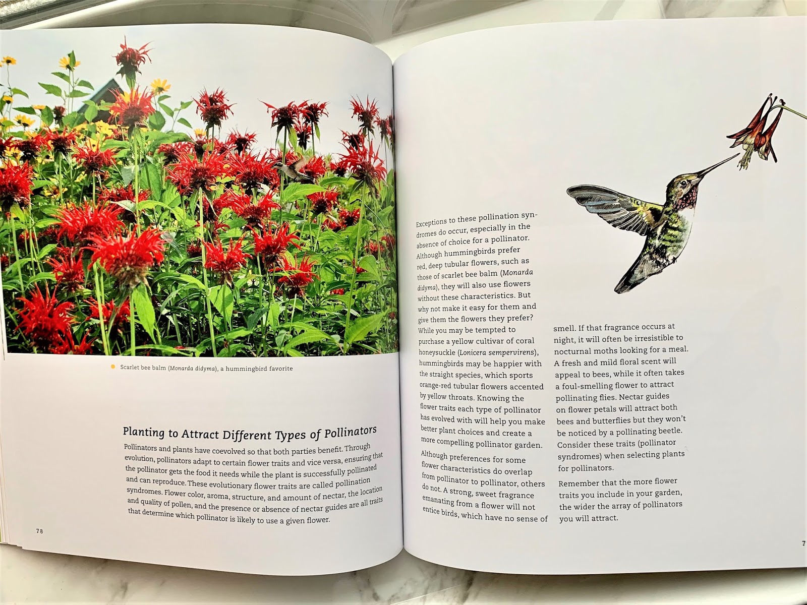 The Pollinator Victory Garden Book Review and Giveaway | My WAHM Plan