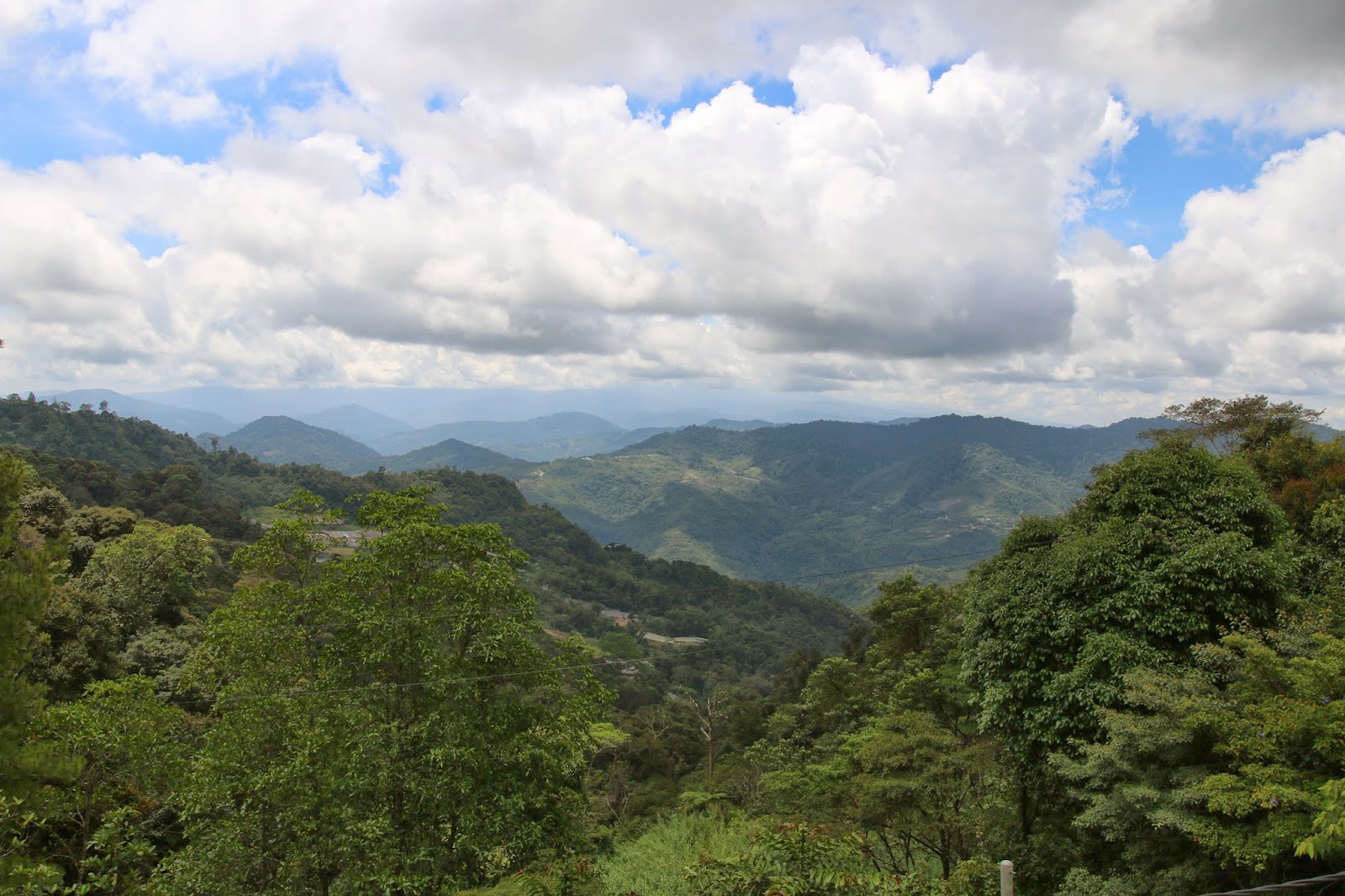 Botanical Garden @Mount Kinabalu Park, Ranau