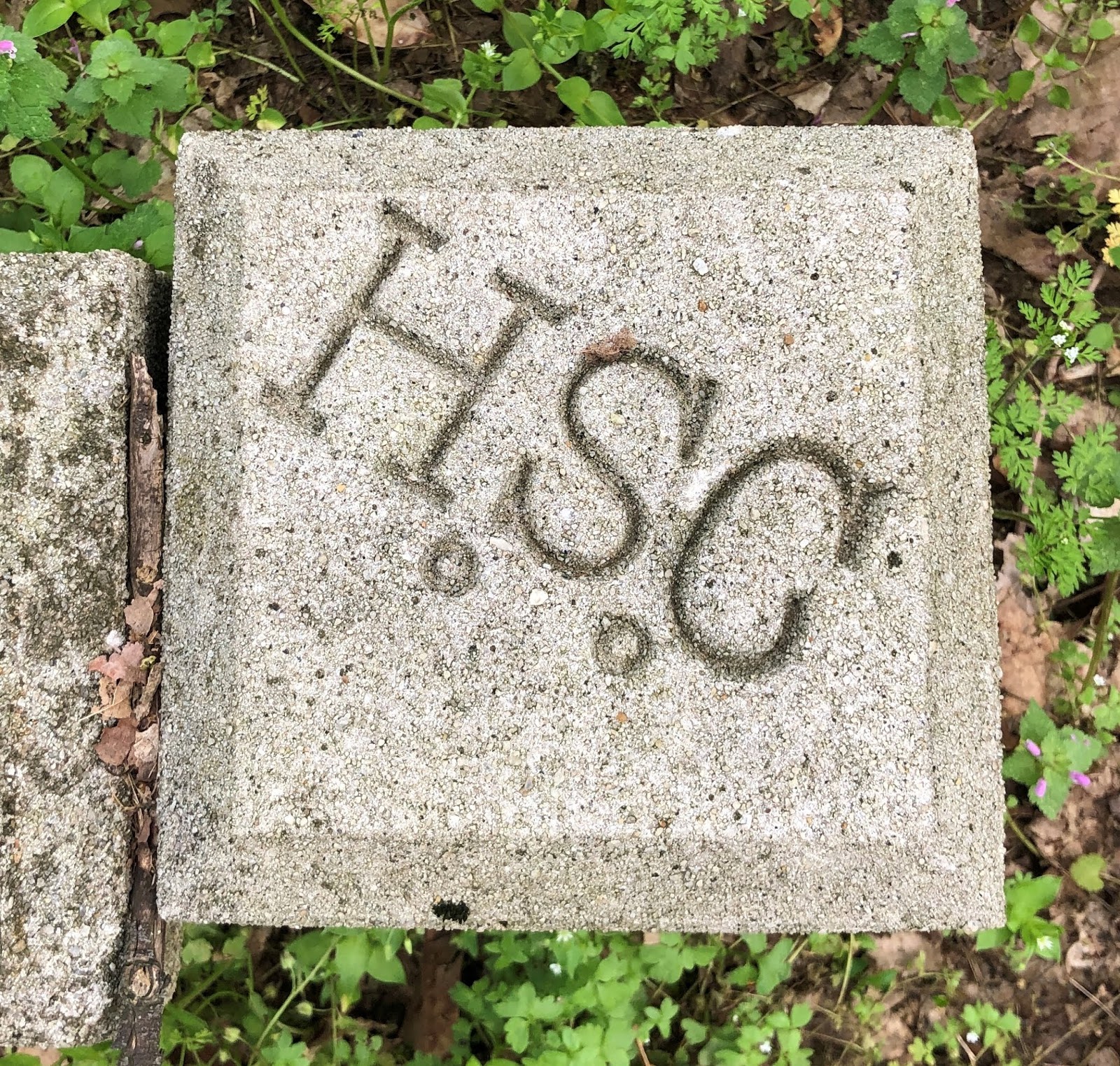 JOHN BANKS' CIVIL WAR BLOG: March 2020