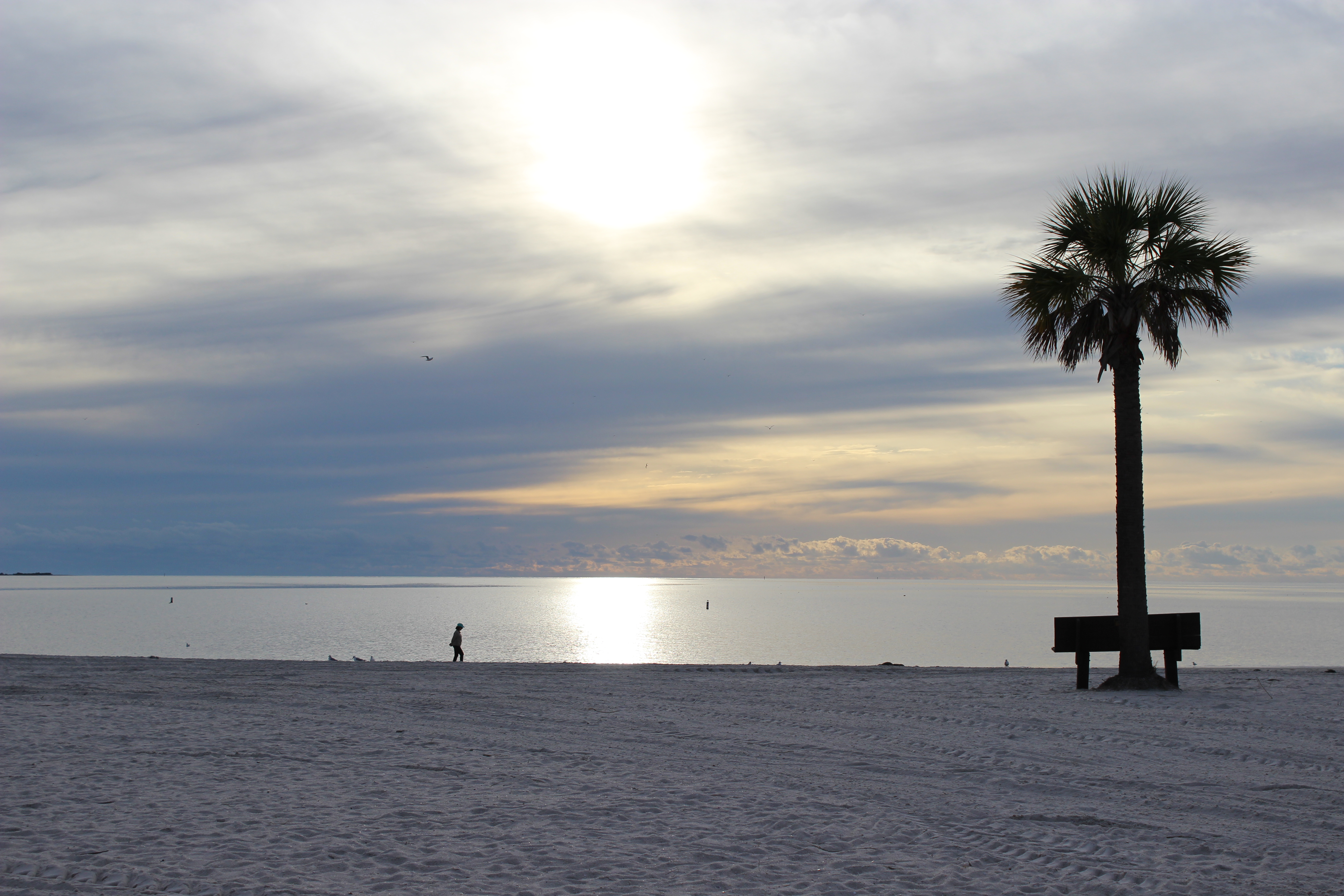 To Behold the Beauty: Florida