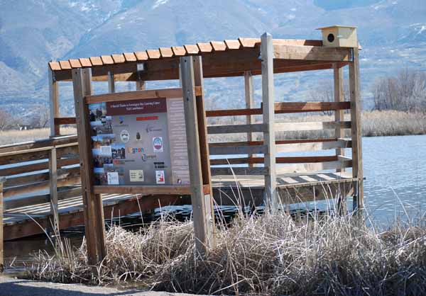 Artwife Needs a Life: Birding at Farmington Bay Part 2