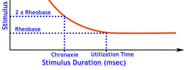 EXAMS AND ME : Strength Duration Curve