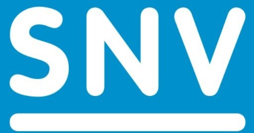 JOB AT NETHERLANDS DEVELOPMENT ORGANIZATION, WORKSTREAM COORDINATOR ...